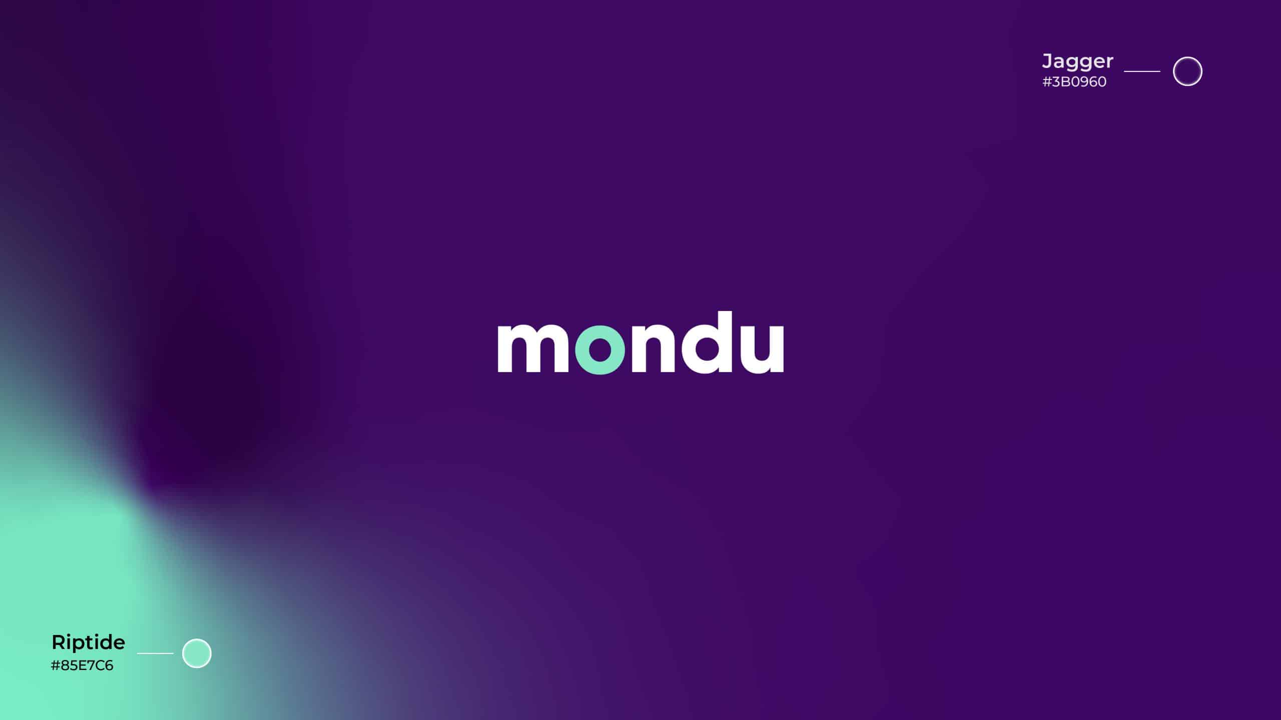 Finansal teknoloji girişimi Mondu, 12 milyon Euro yatırım aldı